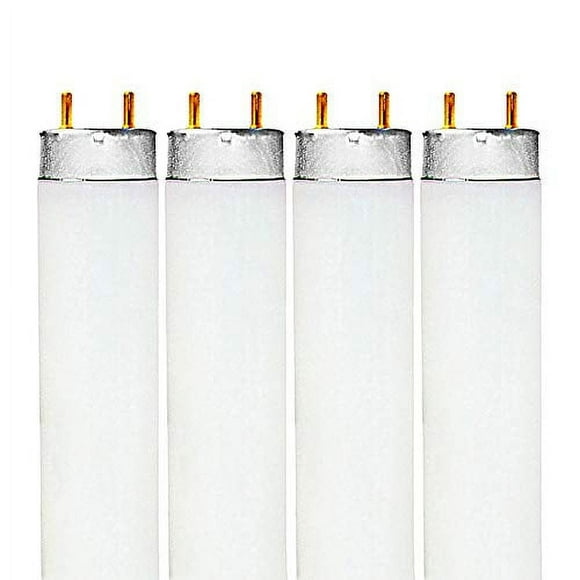 T8 Fluorescent Light Bulbs