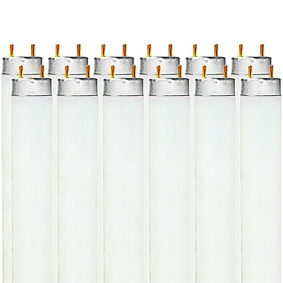 T8 Fluorescent Light Bulbs