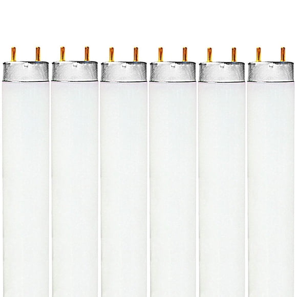 Long Bulb