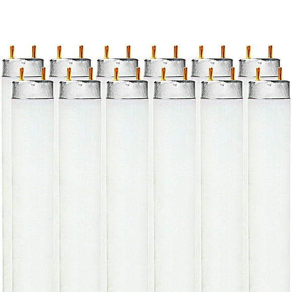 T8 Fluorescent Light Bulbs