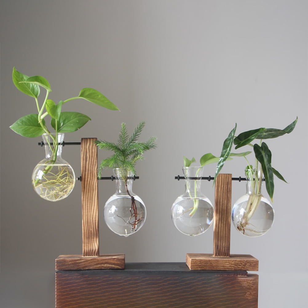Luxshiny Water Planting Glass Vase Set with Beautiful Shape and ...