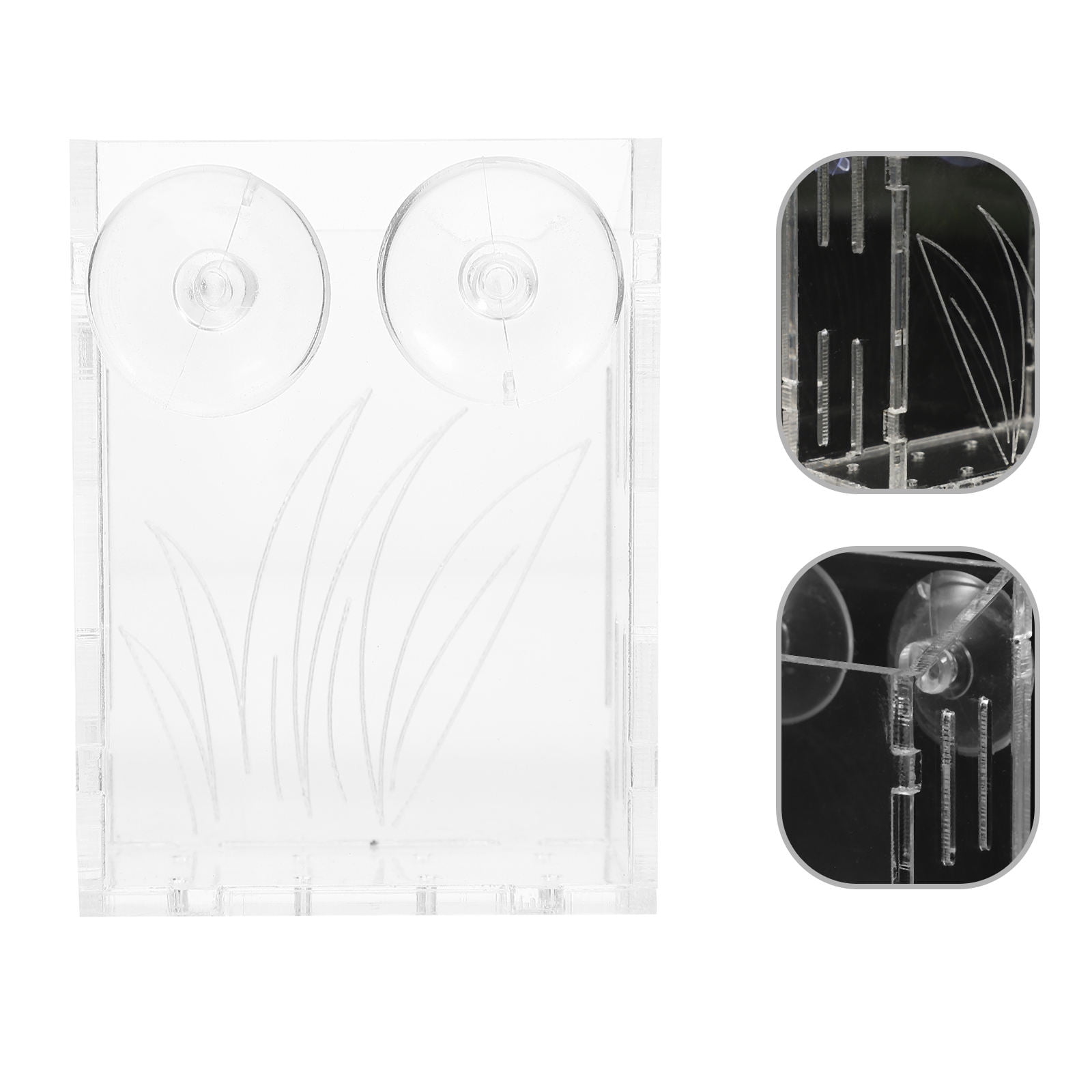 Luxshiny 1Pcs Aquarium Planting Cup in Clear Design for Fish Lovers and ...