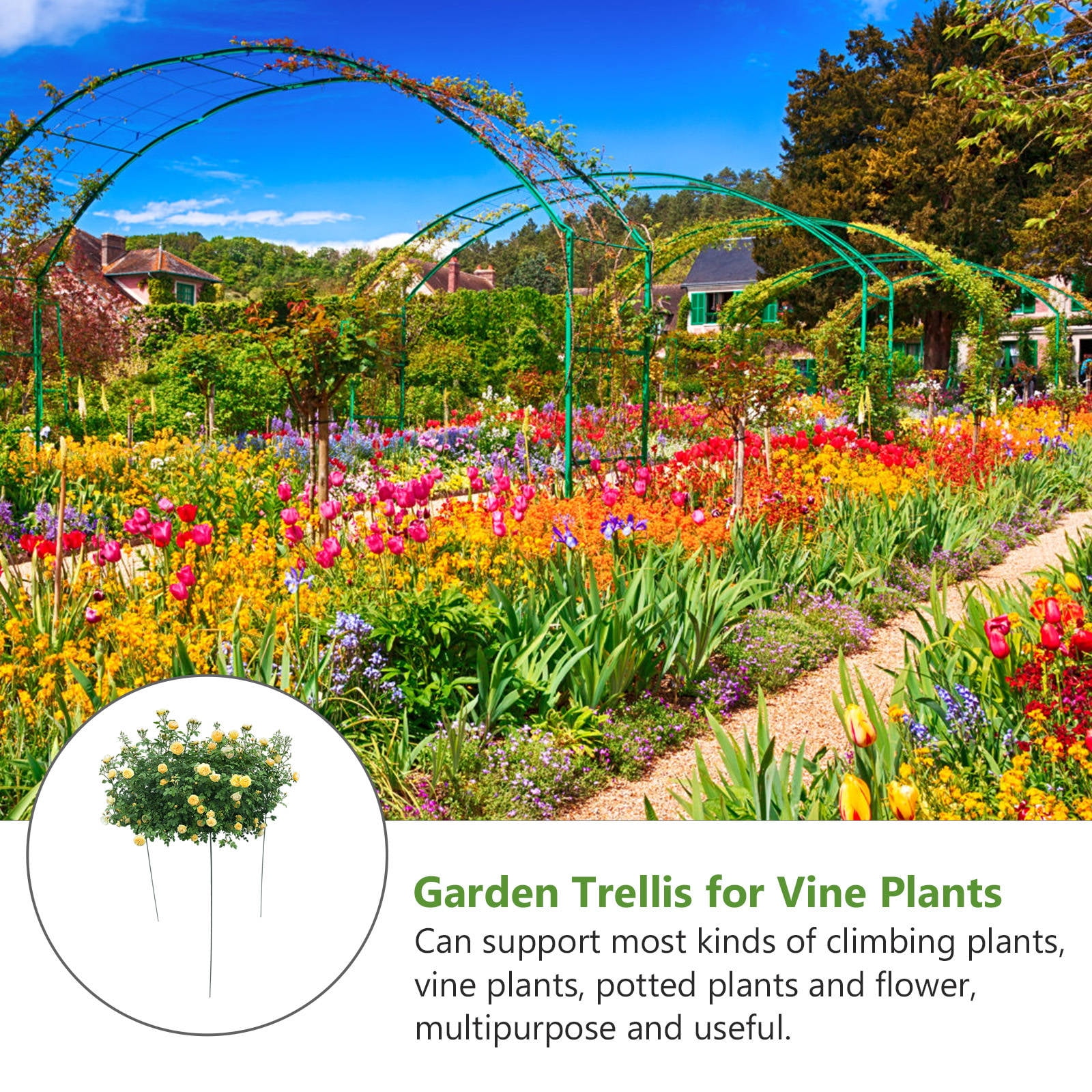 Luxshiny 1Set Vine Climbing Support Trellis for Plant Lovers and ...