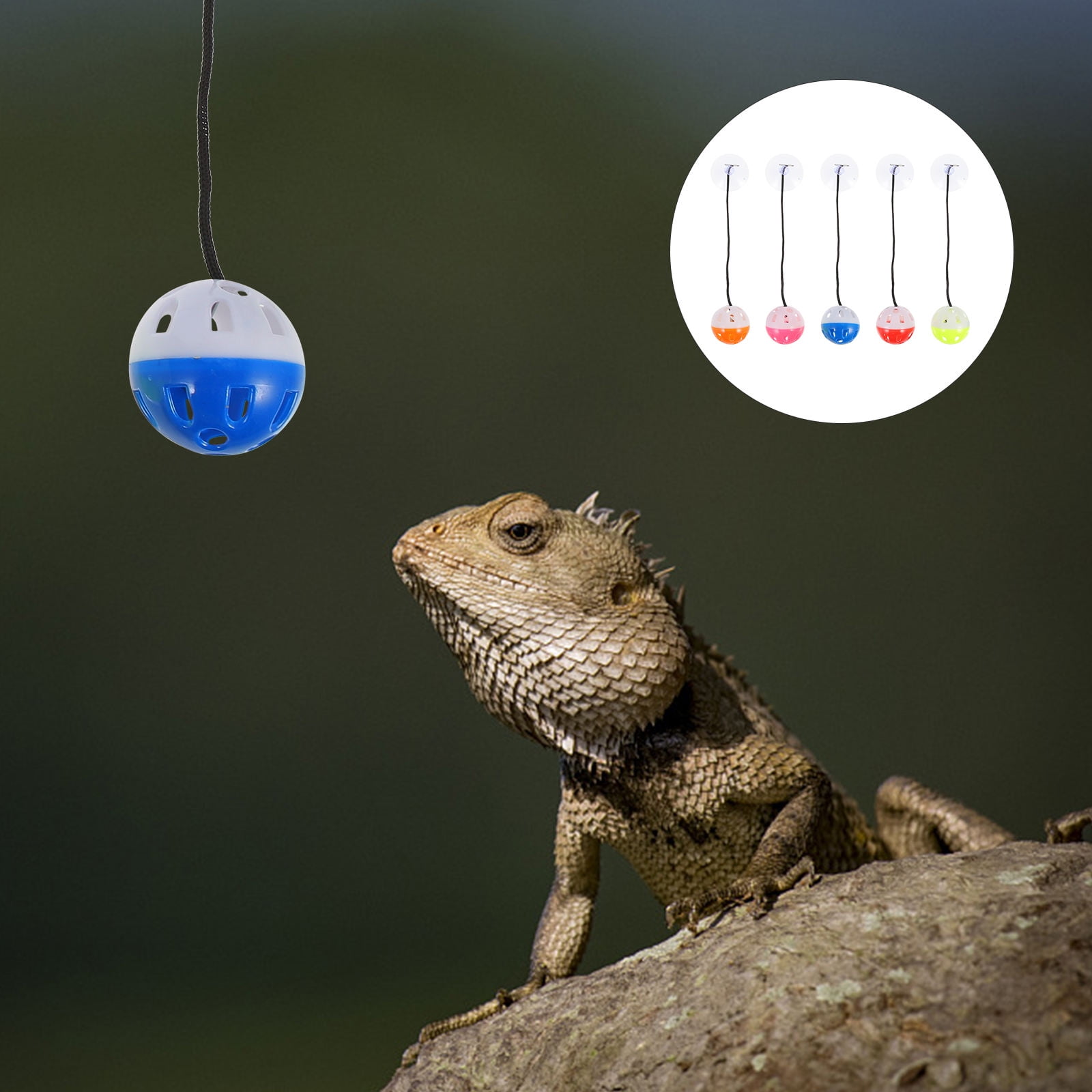 Lizard Noise