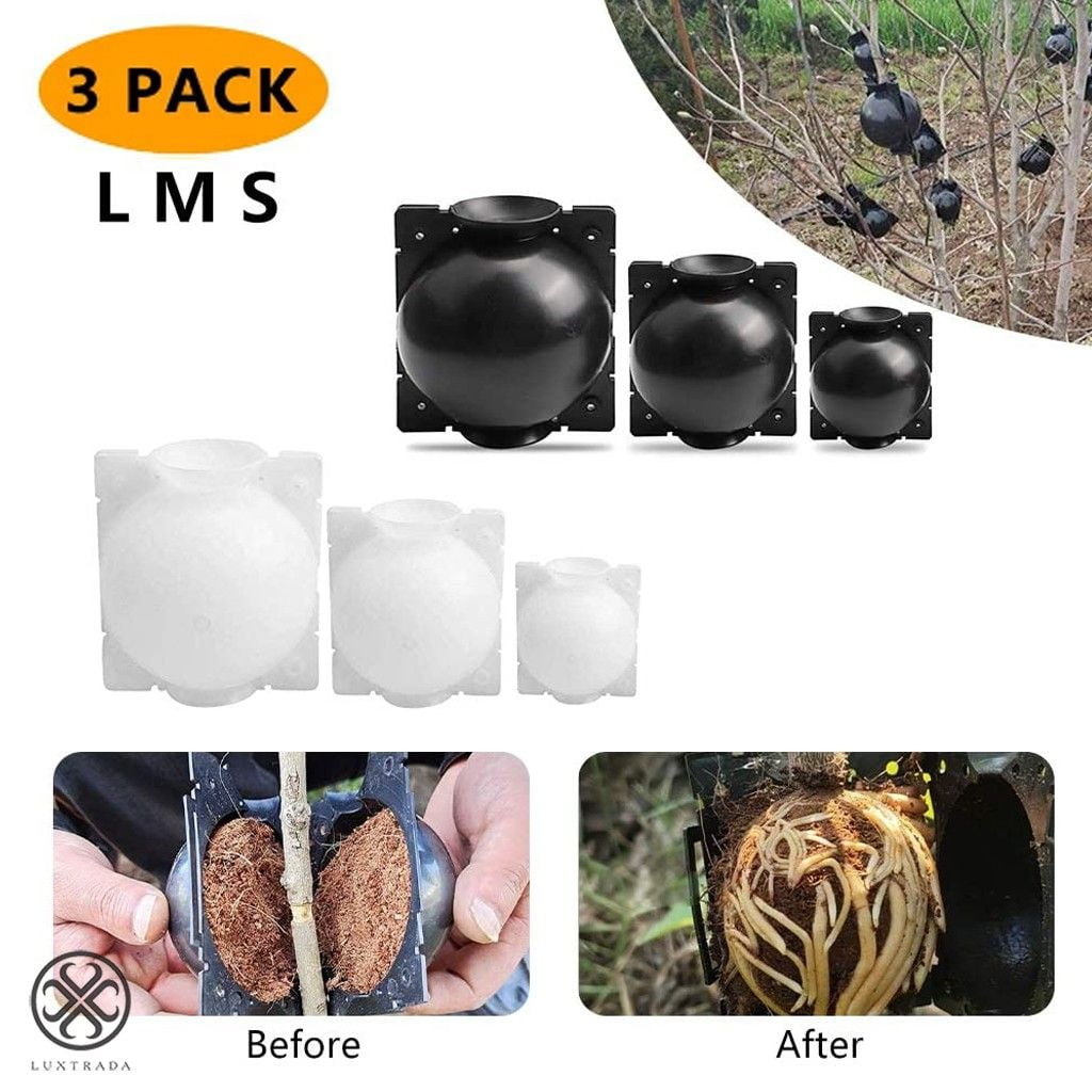 Luxtrada 3PCS/SET Plant Rooting Device High Pressure Propagation Ball ...