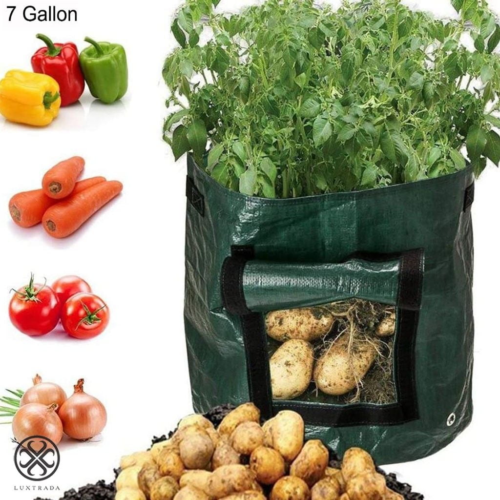 Luxtrada DIY Potato Grow Planter PE Cloth Planting Container Bag ...