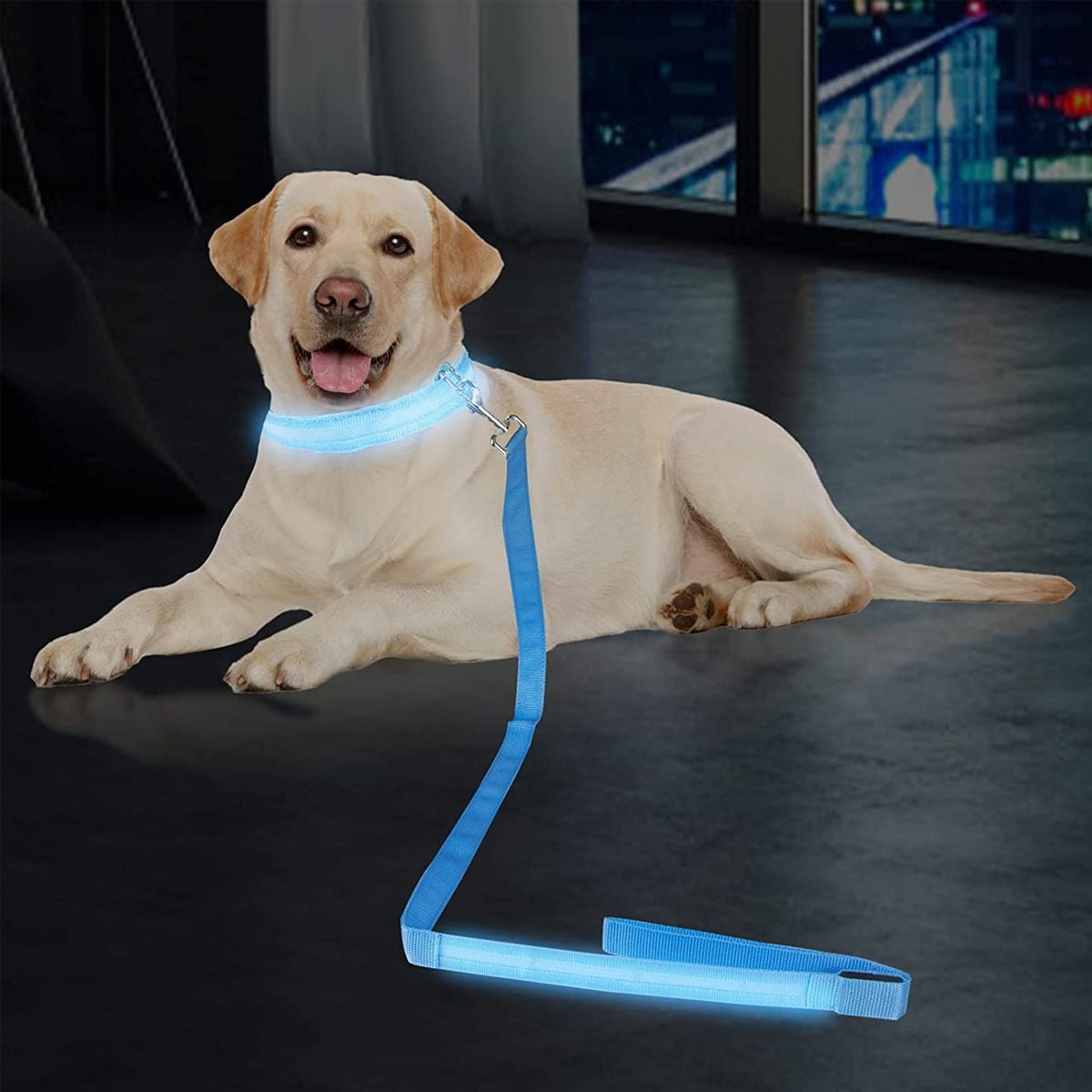 Luxtrada LED Dog Leash Light Up Dog Leash Micro USB Rechargeable ...