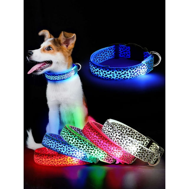 Luxtrada LED Light Up Dog Collar for Night Safety, USB Rechargeable Dog ...