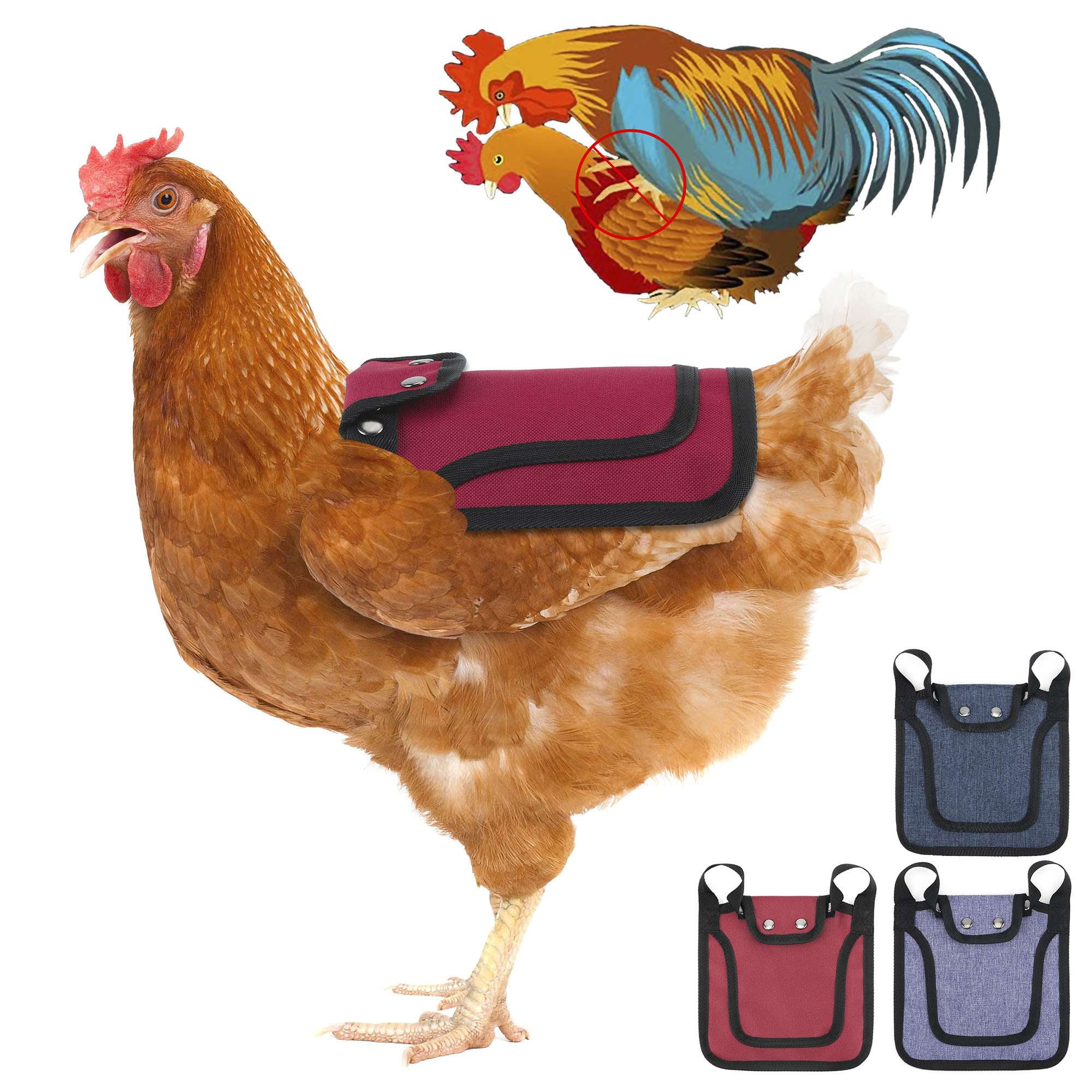 Luxtrada Premium Chicken Saddles with Stretchy Strap, Hen Saddle ...