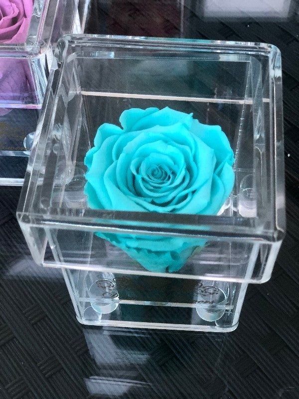 Luxury Diamond Flowers Forever Rose In Acrylic Box - Rose Color ...
