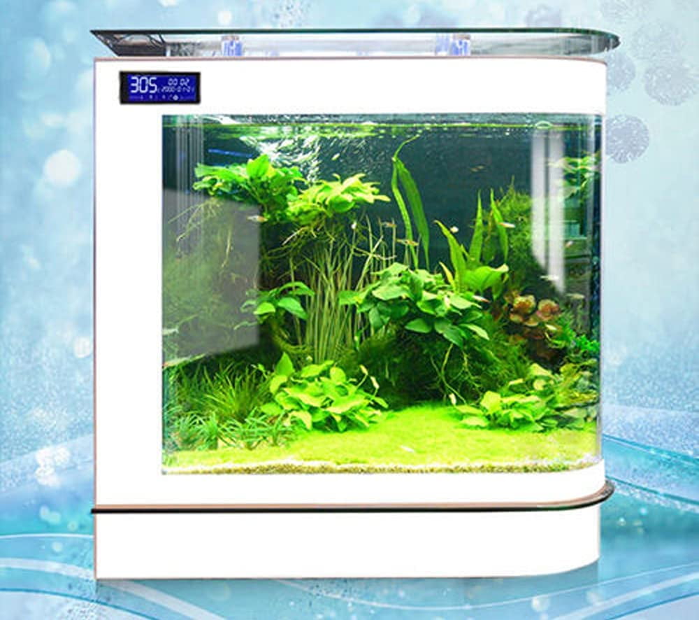 Luxury Large Upright Fish Tank Big Fishbowl Glsaa Bar for Patios Living ...
