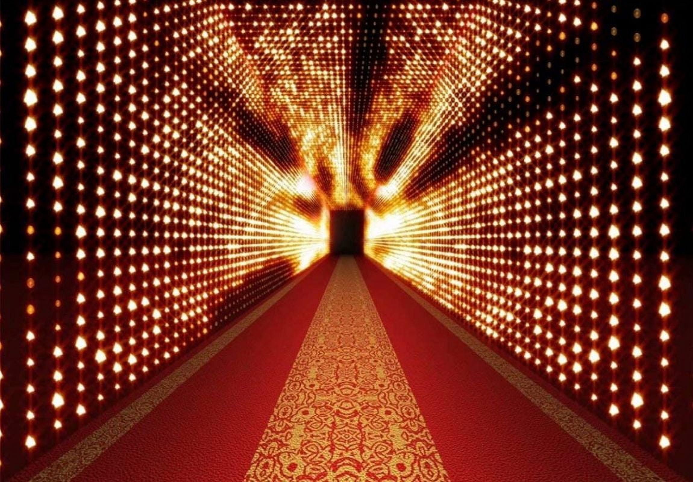 Luxury Stage Spotlight Concert Live Background Custom Birthday Backdrop ...