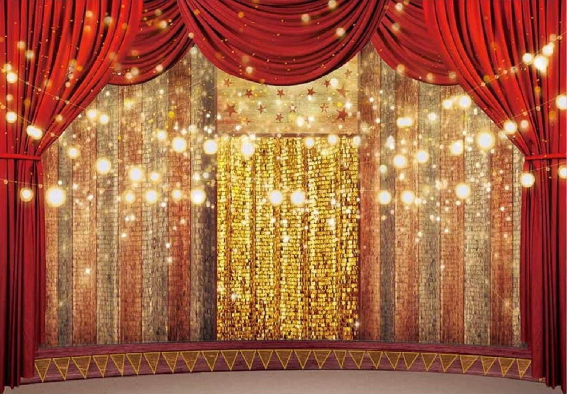 Luxury Stage Spotlight Concert Live Background Custom Birthday Backdrop ...