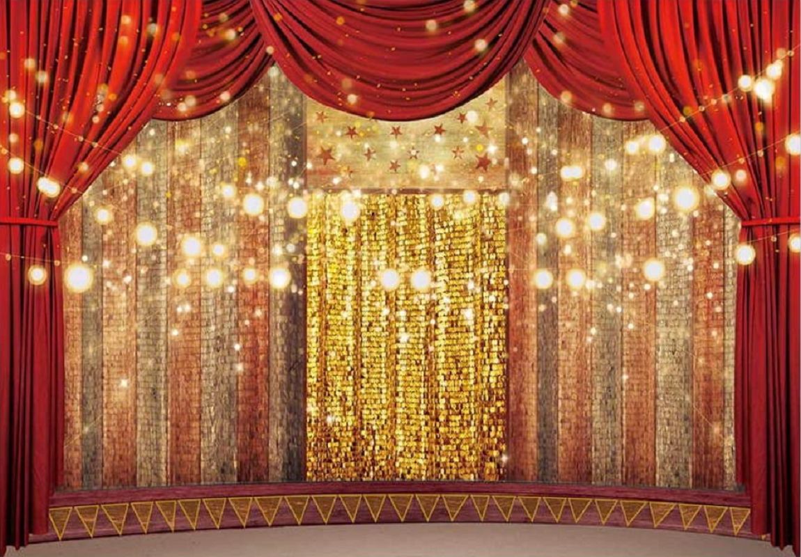 Luxury Stage Spotlight Concert Live Background Custom Birthday Backdrop ...