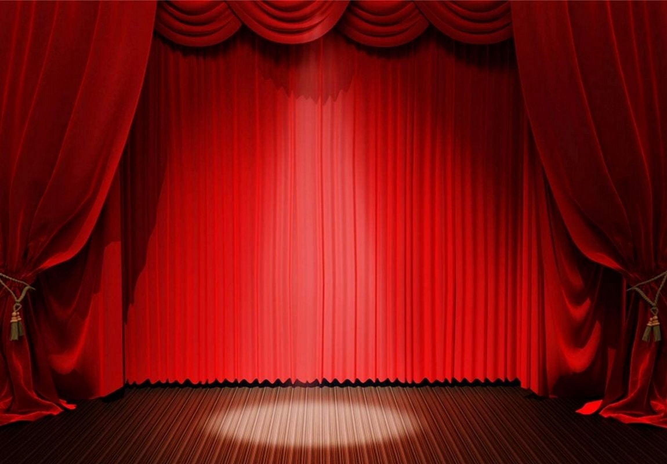 Luxury Stage Spotlight Concert Live Background Custom Birthday Backdrop ...