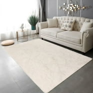 Dwelke Ultra Fluffy Rug Indoor Plush Soft Carpet for Living Room Anti ...