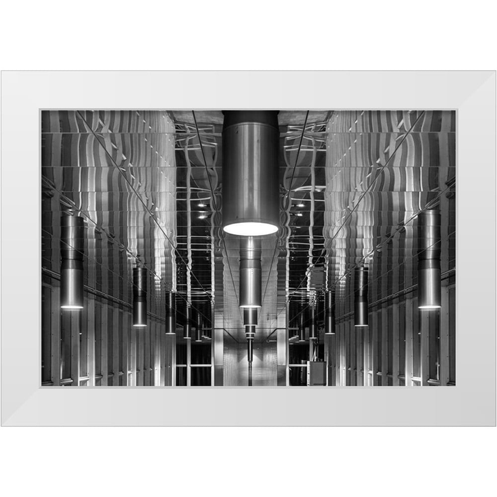 Luycx, Theo 32x23 White Modern Wood Framed Museum Art Print Titled ...