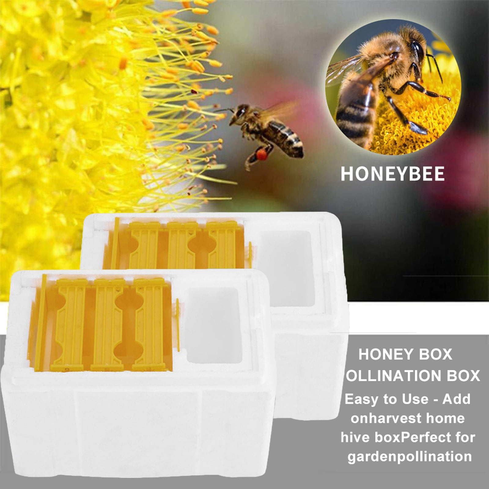 Luysn 2Pcs Bee Mating Hive,Divided Honey Box,Queen Bee Rearing Beehive ...