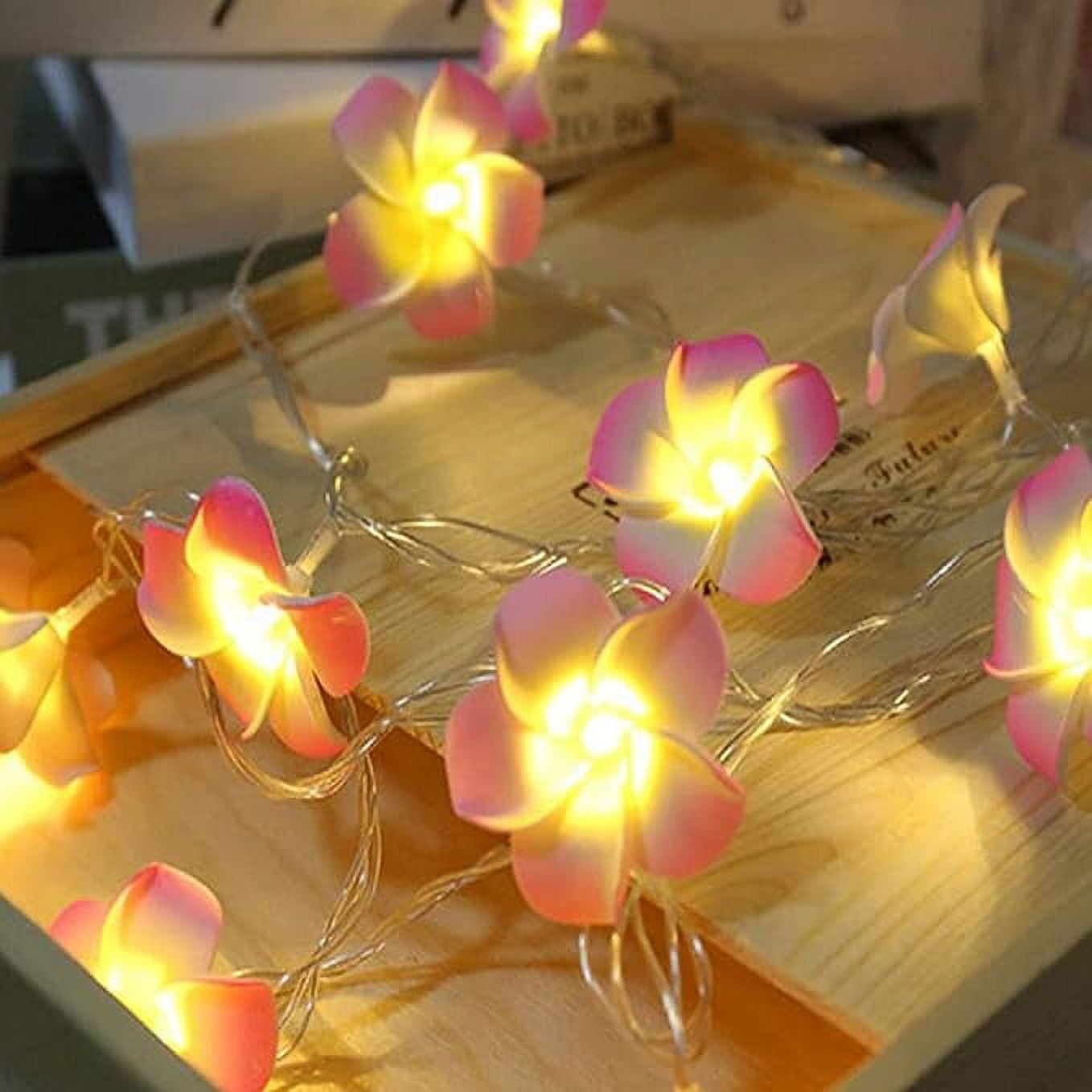 Lxcom Lighting Plumeria Flower String Lights 20LED String Light ...