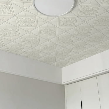 Abyssaly Peel and StickCeiling Tiles, 16 Pack, Covered 21 Sq.Ft, Glue ...