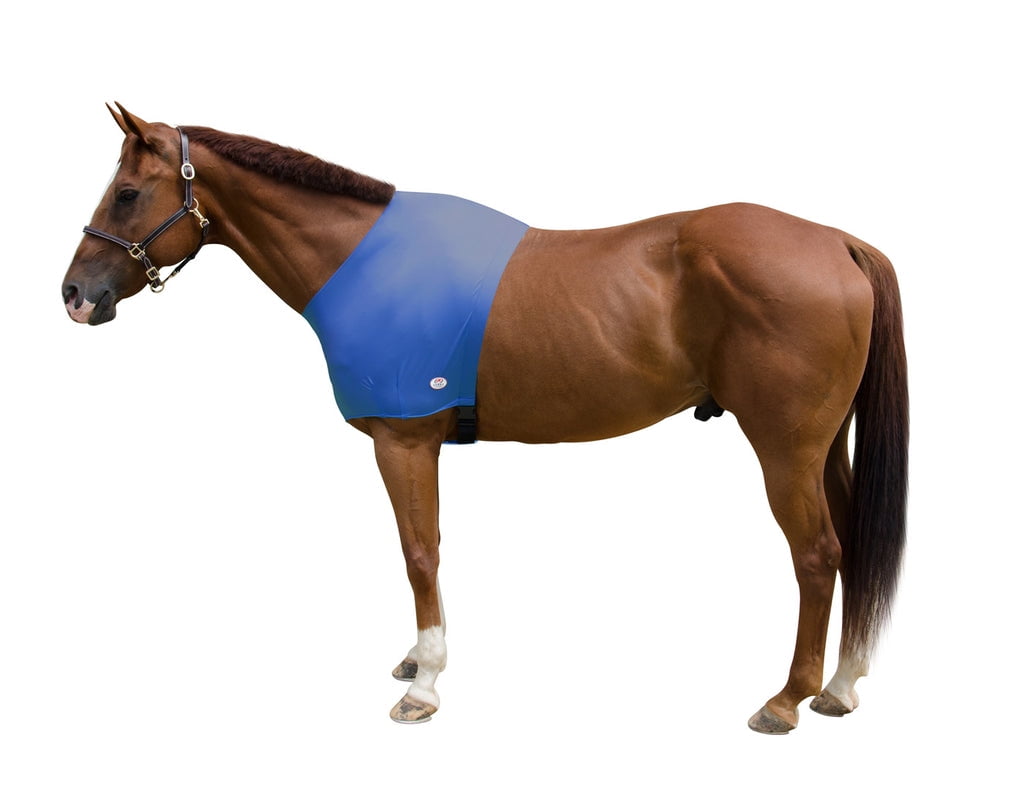Derby Originals 1400 lbs Lightweight Lycra Horse Sheet Royal, Summer ...