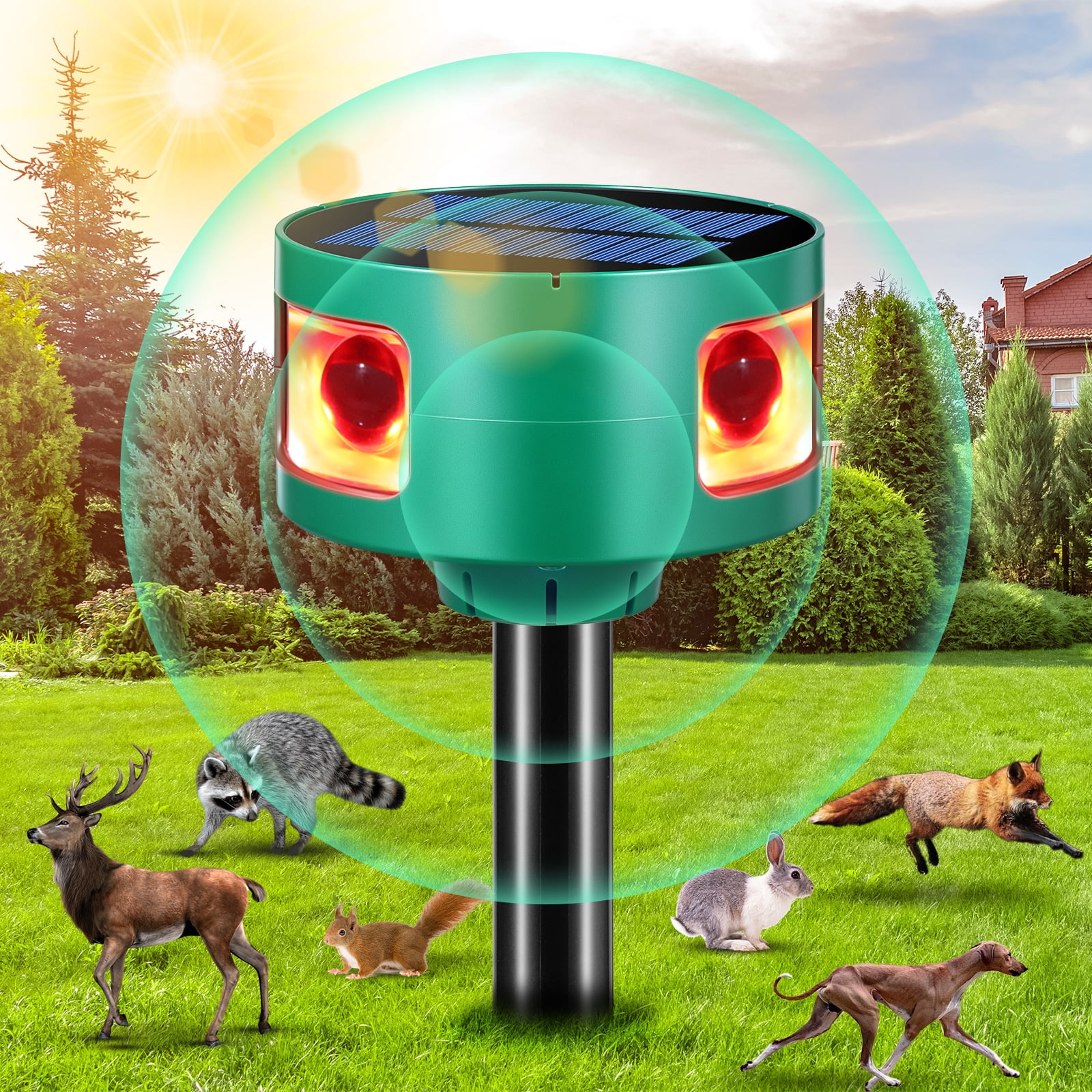 Lycxbfjia Ultrasonic Solar Animal Repeller, Outdoor Waterproof Animal ...