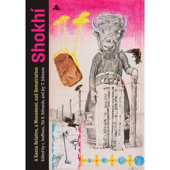 Lyda Conley Trailblazing Indigenous Futu Shokhí: A Kanza Relative, a ...