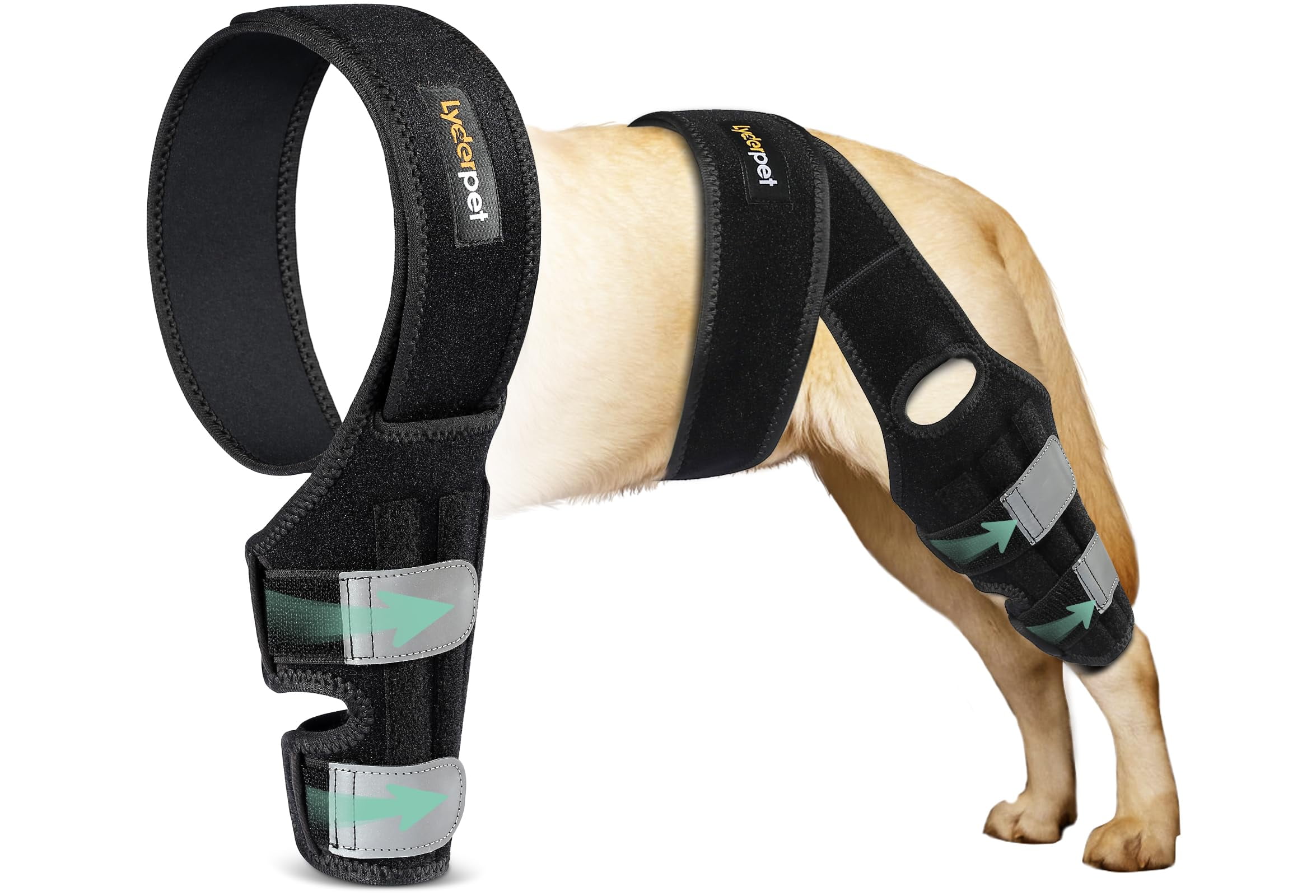 Lyderpet Dog ACL Knee IRF13 Brace for Torn Leg, Rear Leg Braces for ...