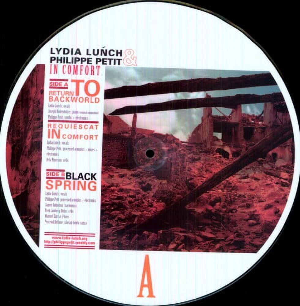 Lydia Lunch - In Comfort - Rock - Vinyl - Walmart.com