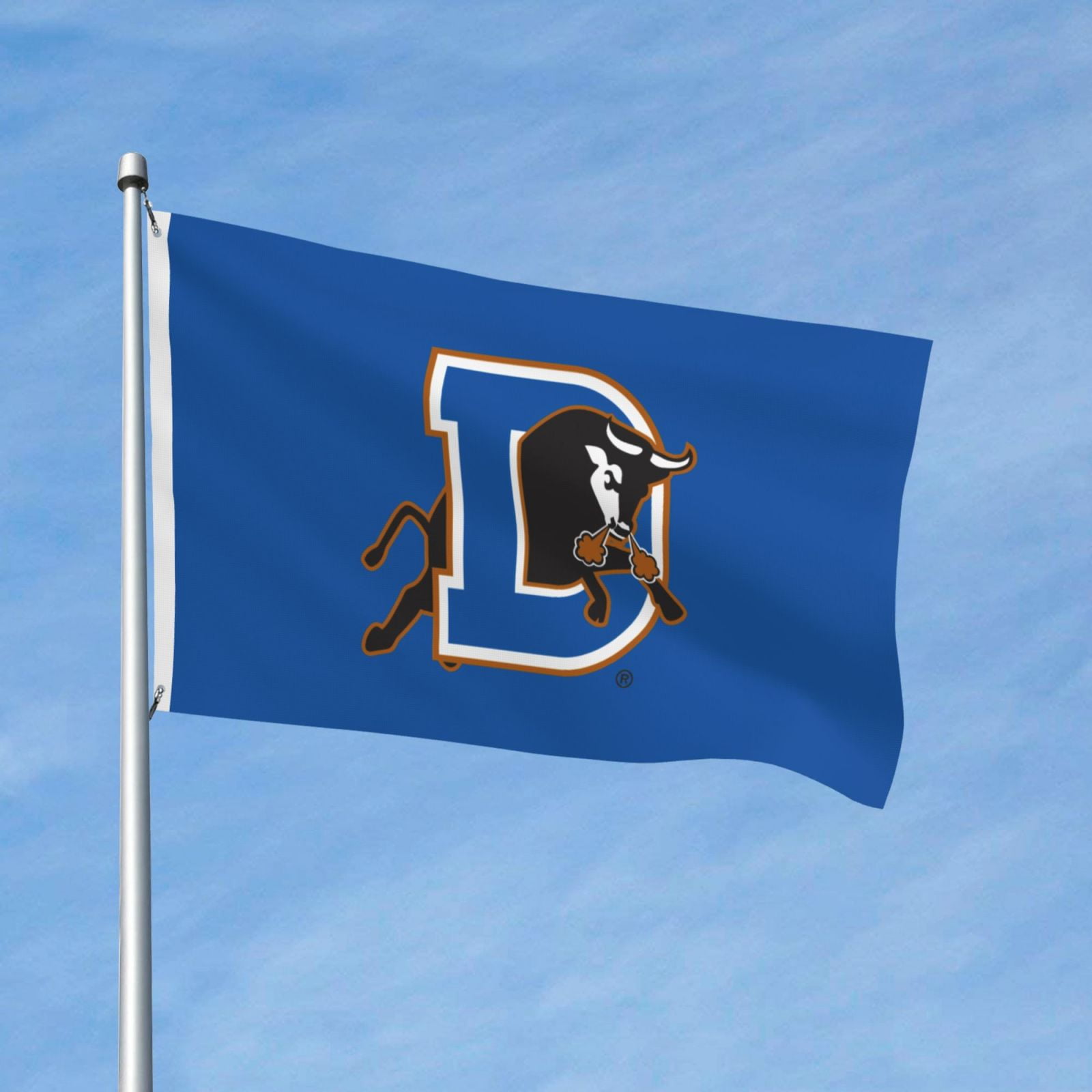 Lynn University Logo Flag 3x5 Ft Holiday Banner Garden Yard House Flags ...