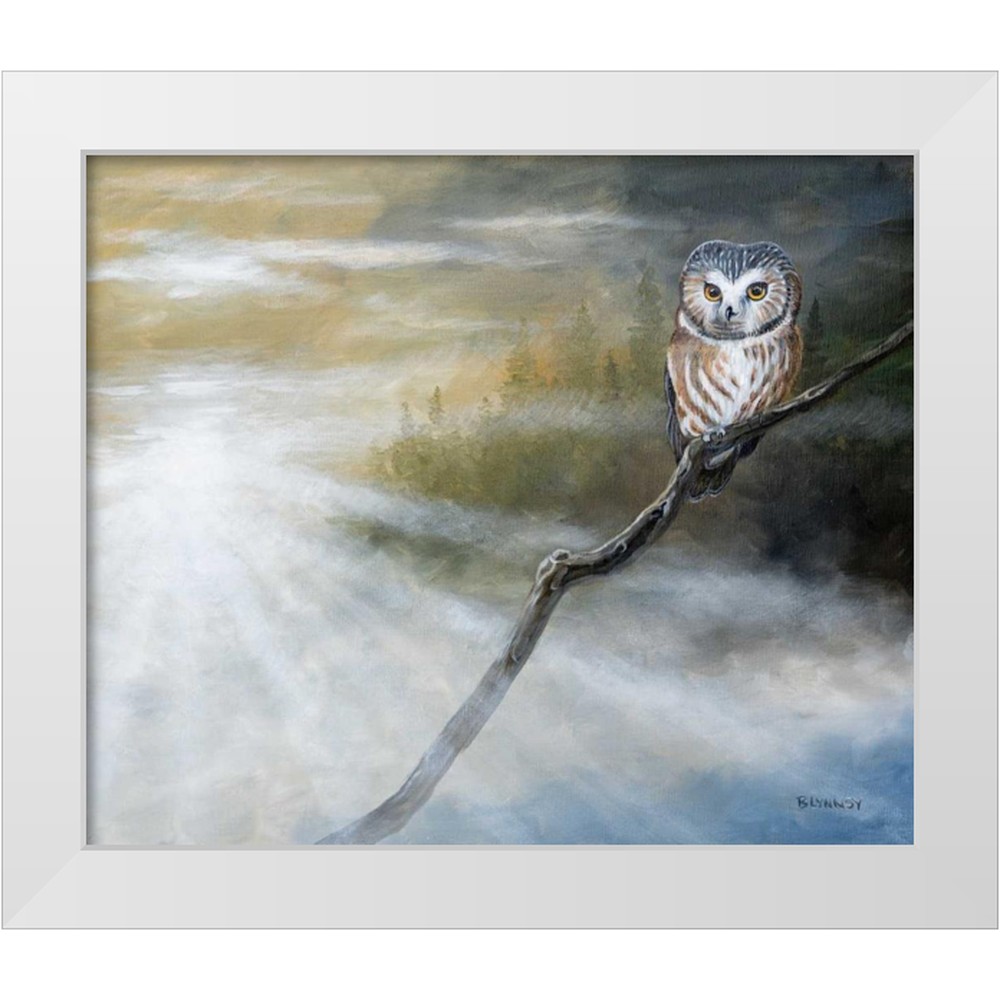Lynnsy, B. 17x15 White Modern Wood Framed Museum Art Print Titled ...
