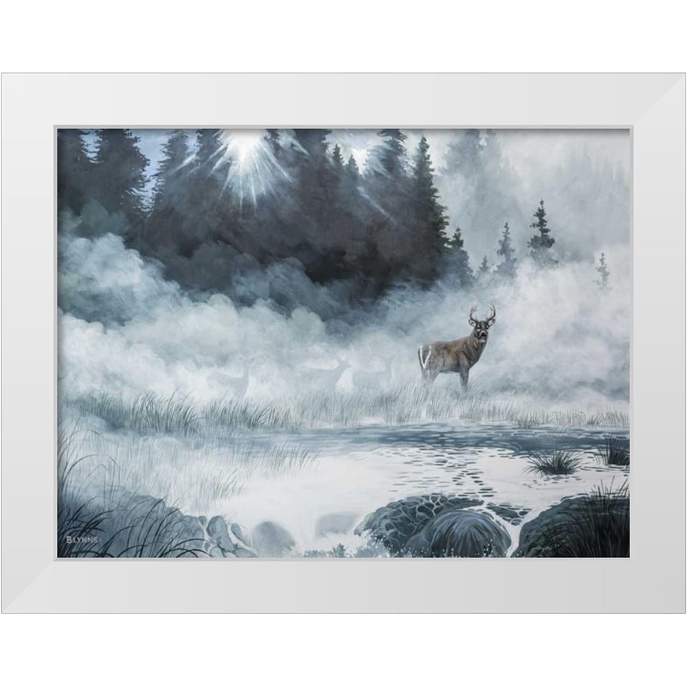 Lynnsy, B. 18x15 White Modern Wood Framed Museum Art Print Titled ...