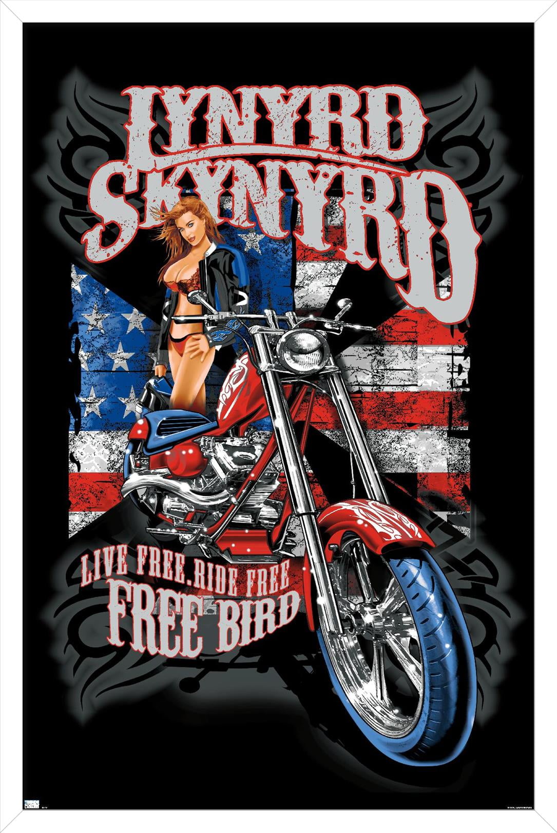 Lynyrd Skynyrd - Free Ride Wall Poster, 14.725" x 22.375" Framed ...
