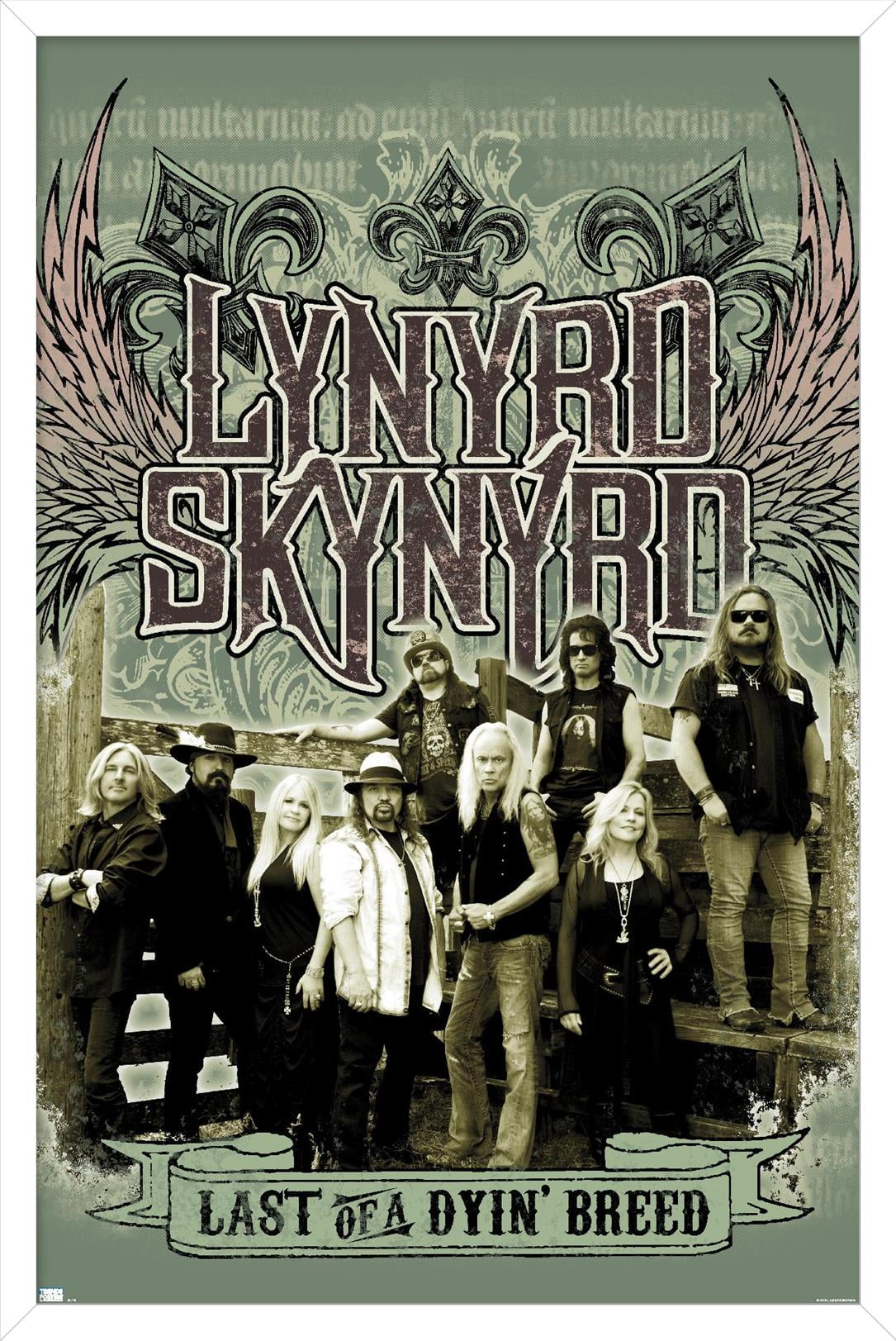 Lynyrd Skynyrd - Green Band Wall Poster, 14.725" x 22.375" Framed ...