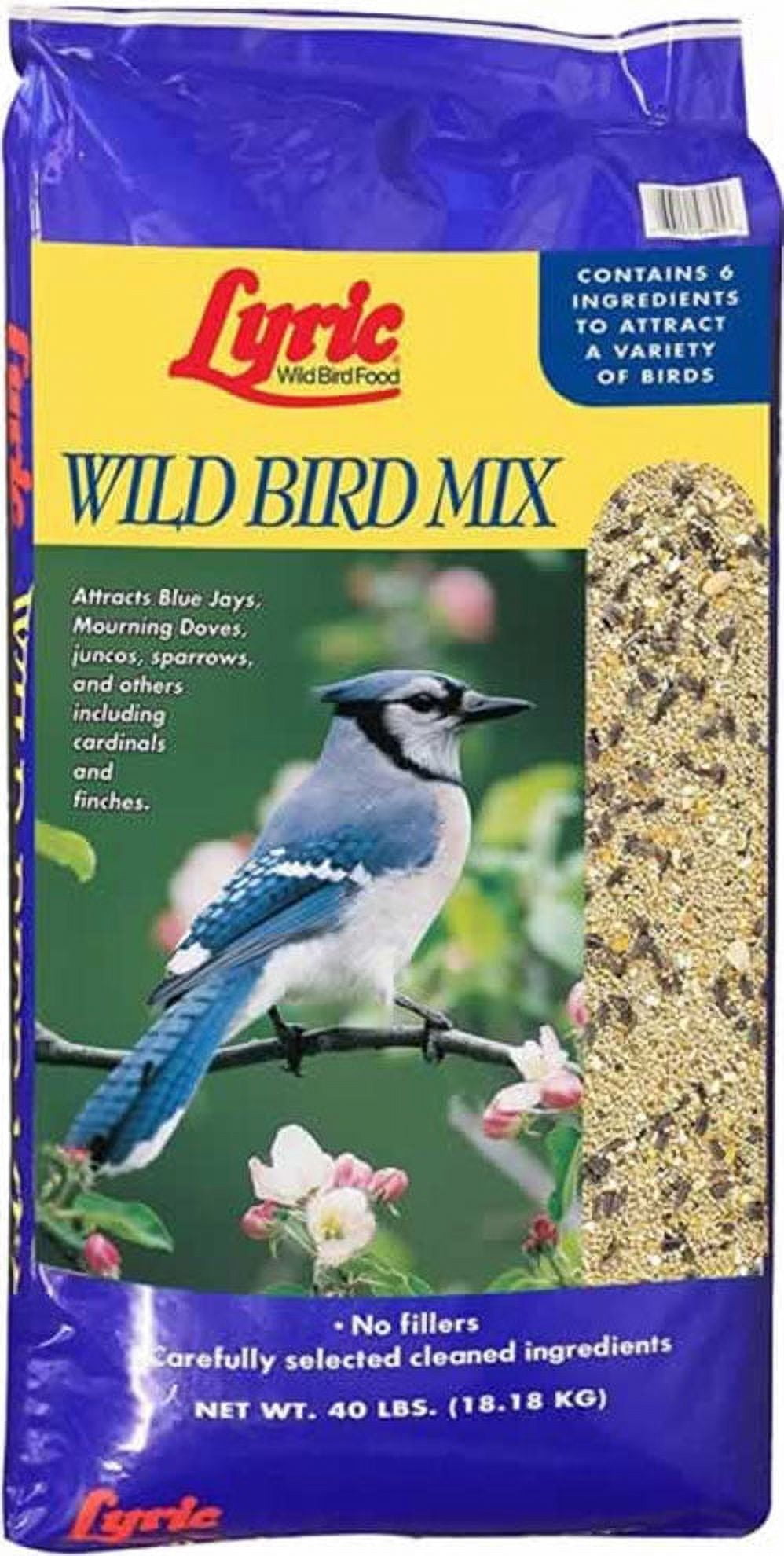 Lyric Wild Bird Mix High Energy Feed, Peanut Bird Food for Outside ...