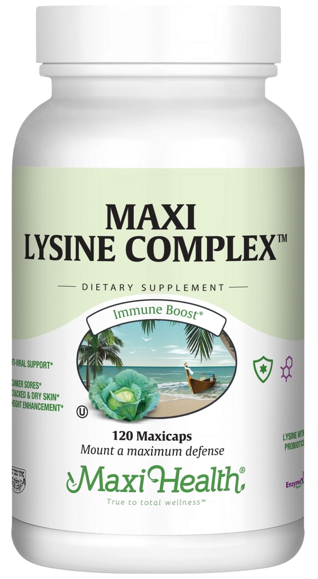 Lysine Complex with Probiotics - L-Lysine 1000mg Capsules for Protein ...