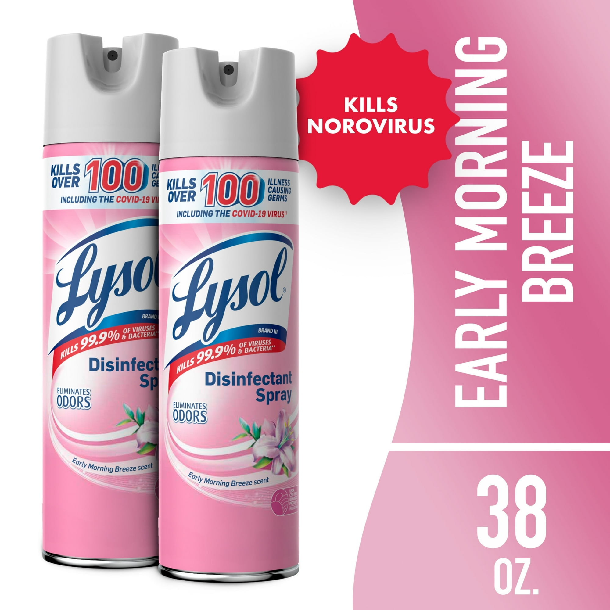 Lysol Disinfectant Sanitizing Antibacterial Spray for Deodorizing ...