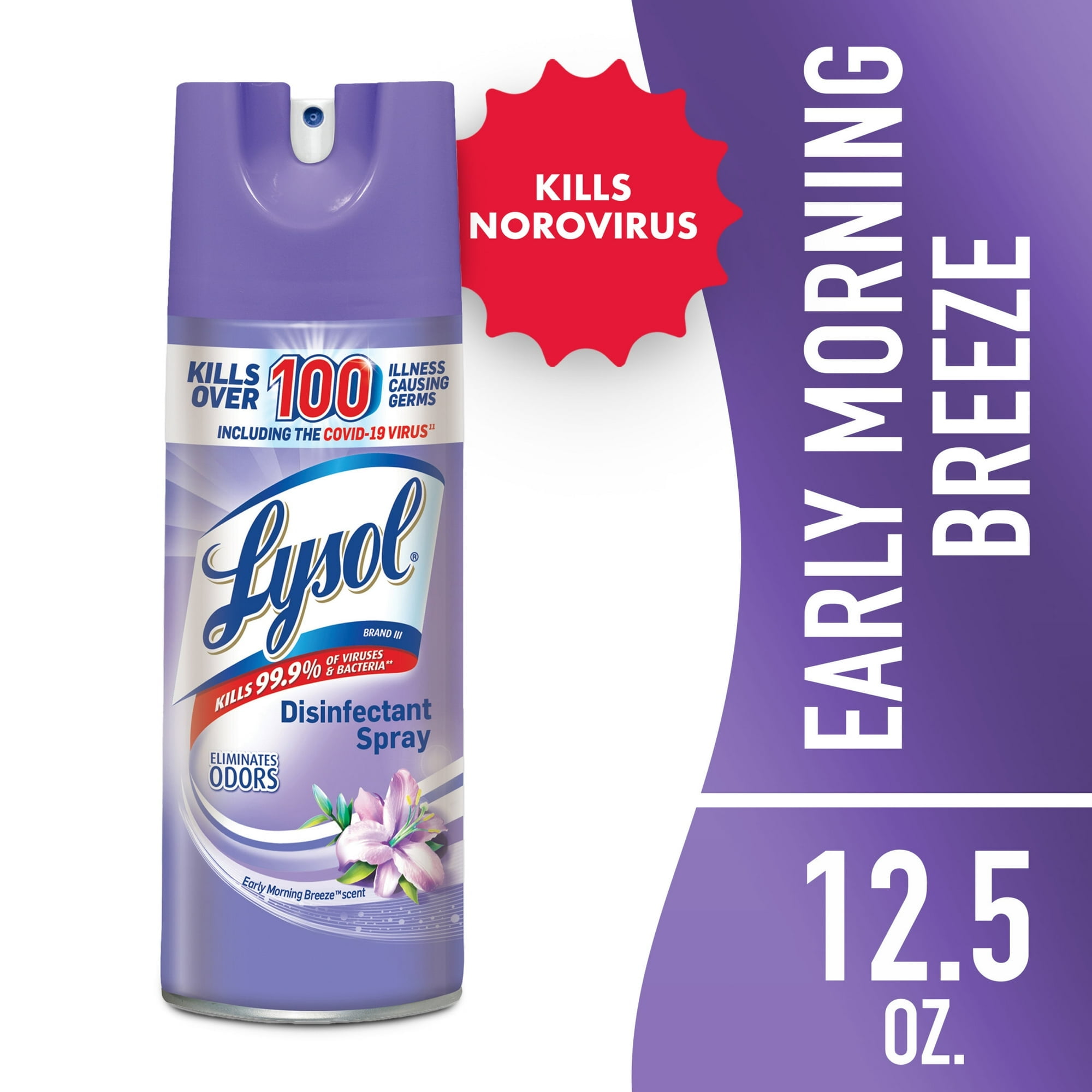 Lysol, Disinfectant Spray, New, Sanitizing/Antibacterial, Early Morning ...