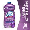 (2 Pack) Lysol® Multi-Surface Cleaner, 2X Concentrated, Pourable Brand ...