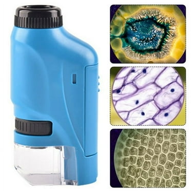 Carson MicroMini 20x LED Lighted Pocket Microscope with Built-In UV and ...