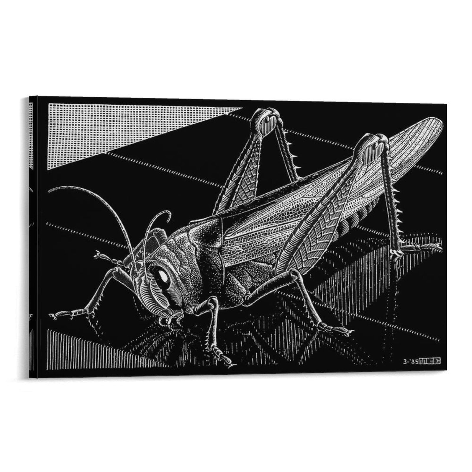 M.C. Escher Grasshopper Wall Art Poster Posters Art Print Wall Photo ...