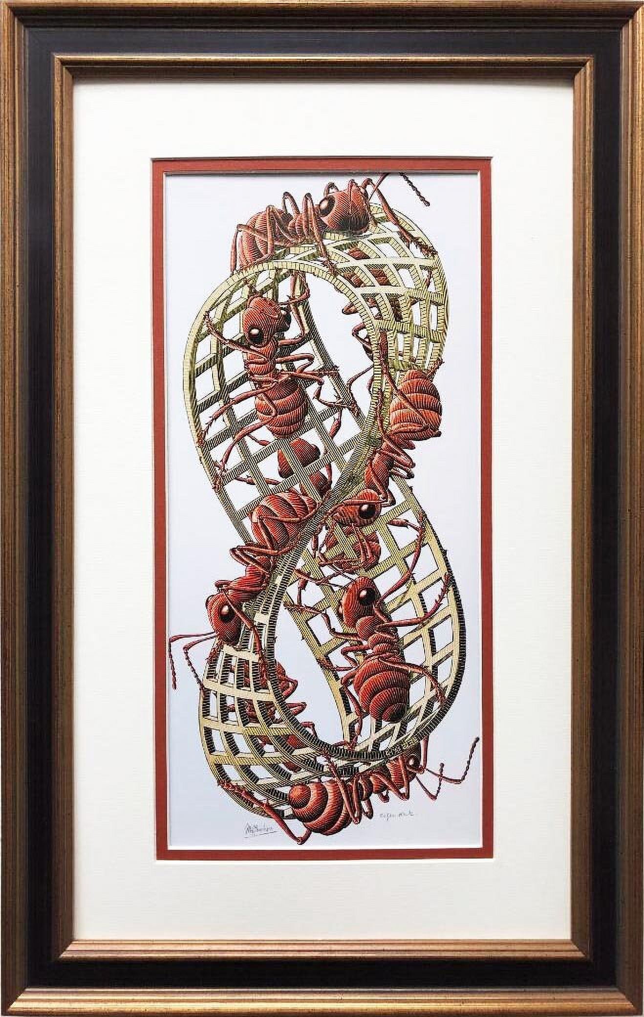 M.C.Escher "Mobius Strip II" (Red Ants) 1963 FRAMED Art Generic ...