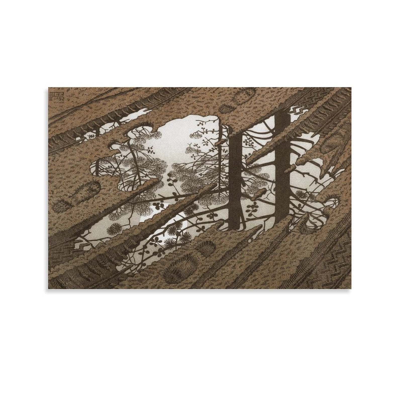 M.C. Escher Puddle Wall Art Poster Picture Print Wall Art Poster ...