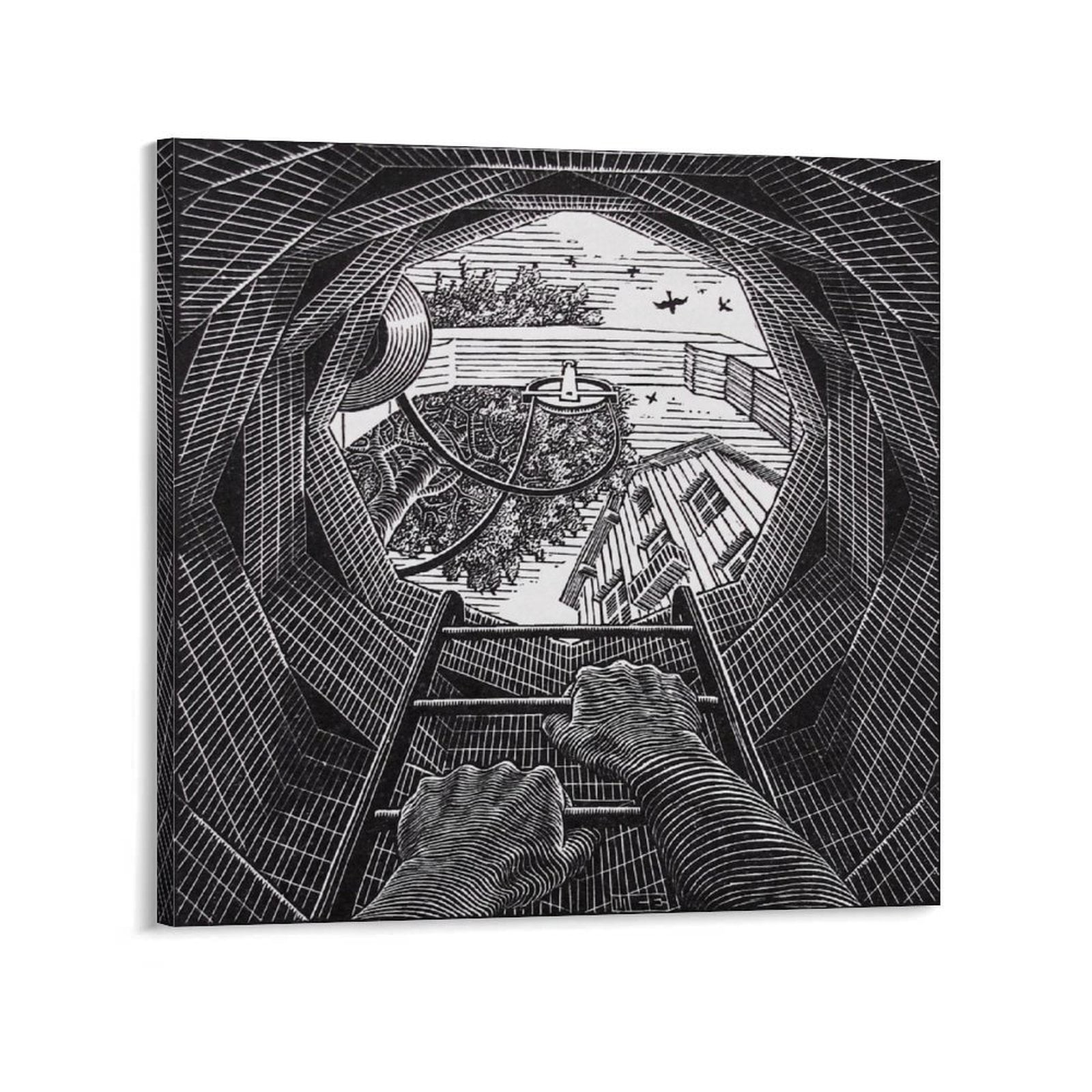 M.C. Escher The Well Wall Art Poster Room Aesthetic Poster Print Art ...