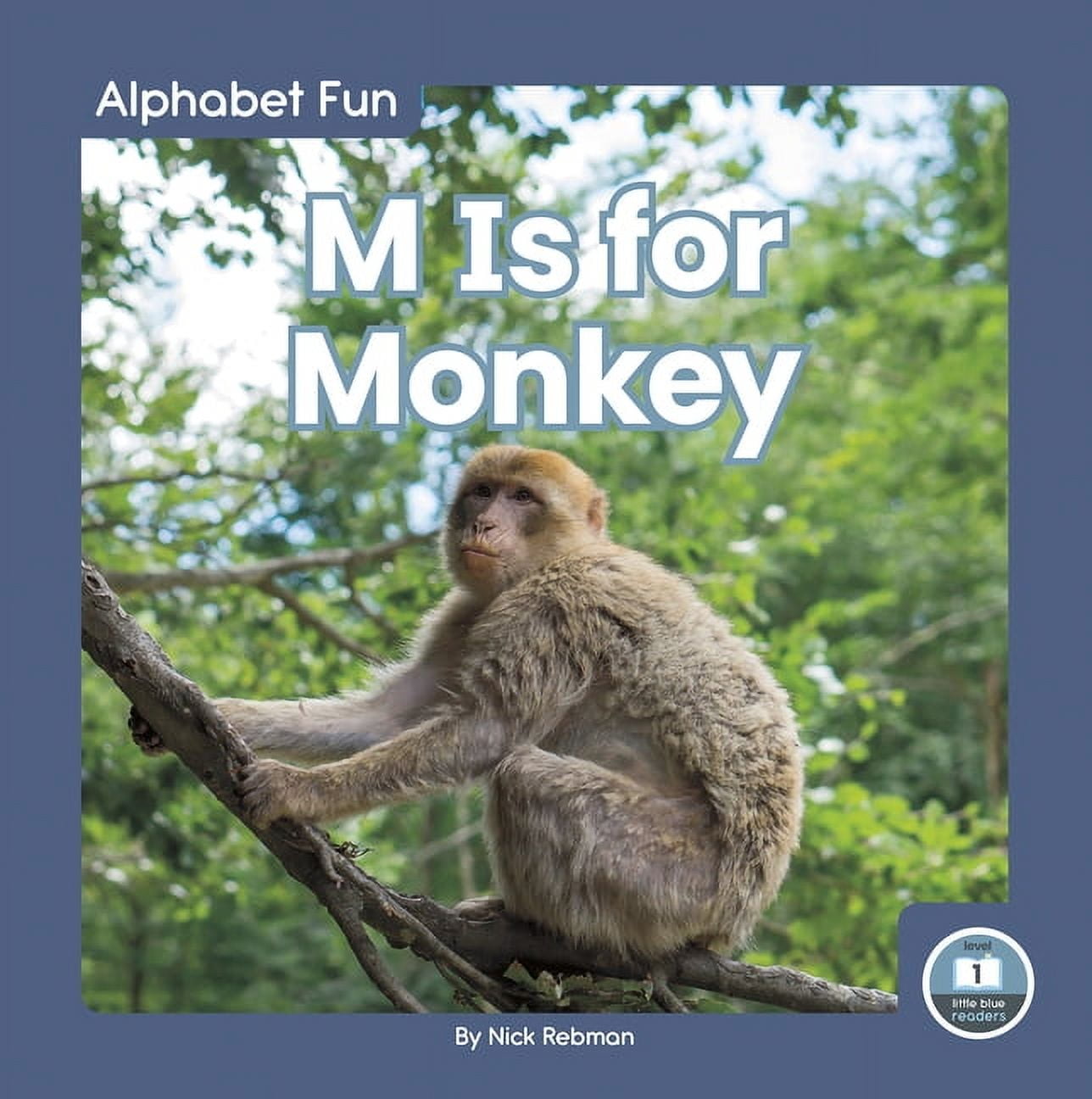 M Monkey