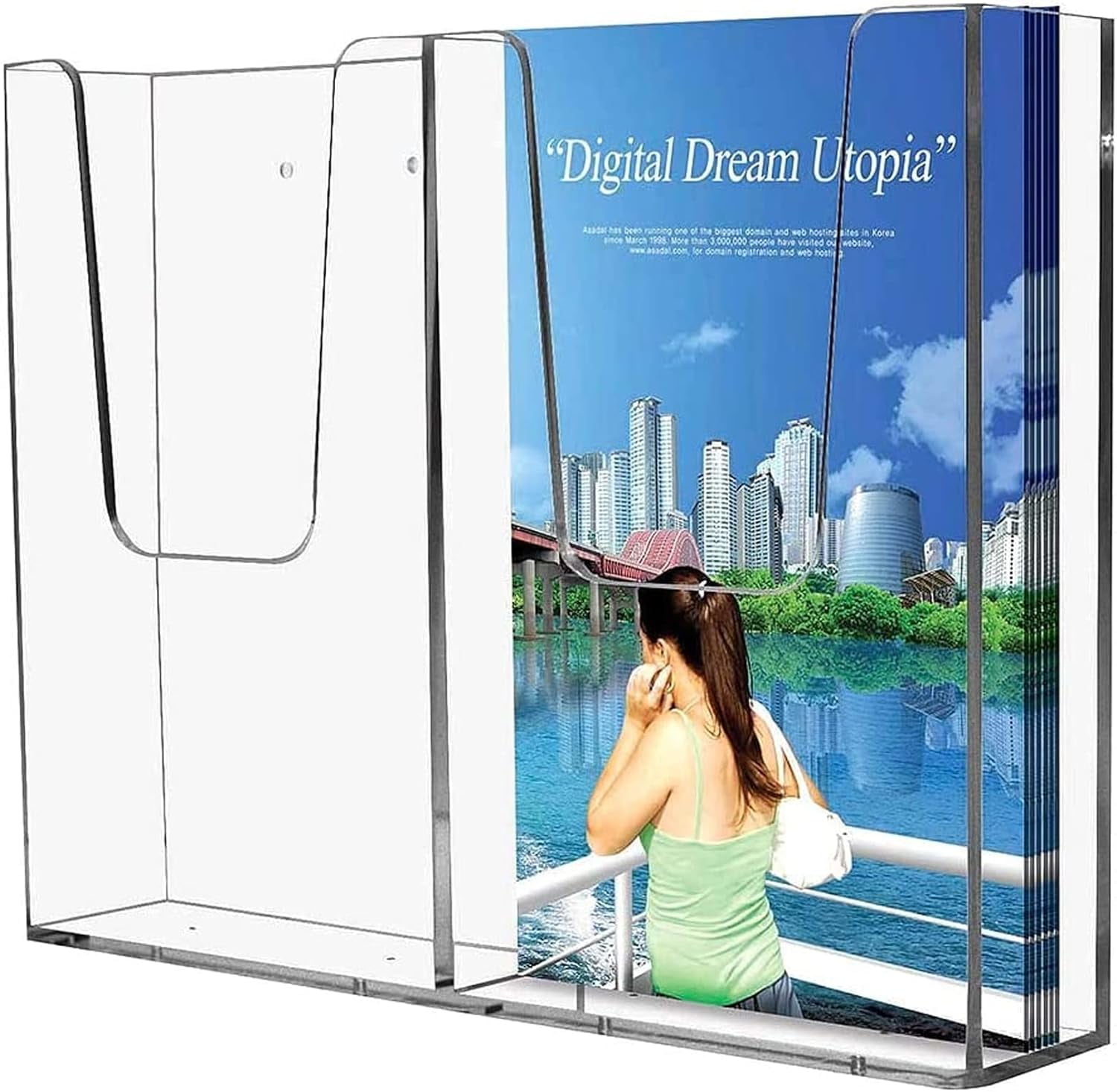 M&T Displays Clear Acrylic Wall Mount Brochure Holder 2x(4x6) Inch 1 ...