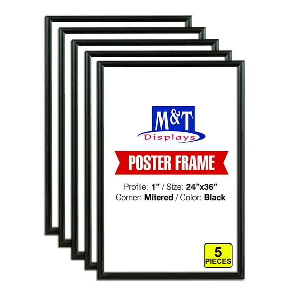 Frameless Picture Frame