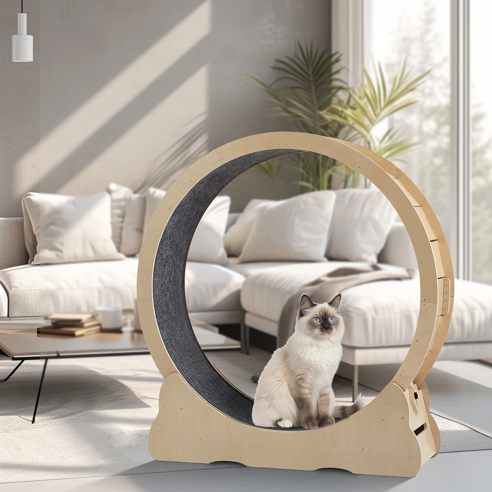 M optimized Indoor Cat Wheel Treadmill Cat Exercise with Carpeted ...