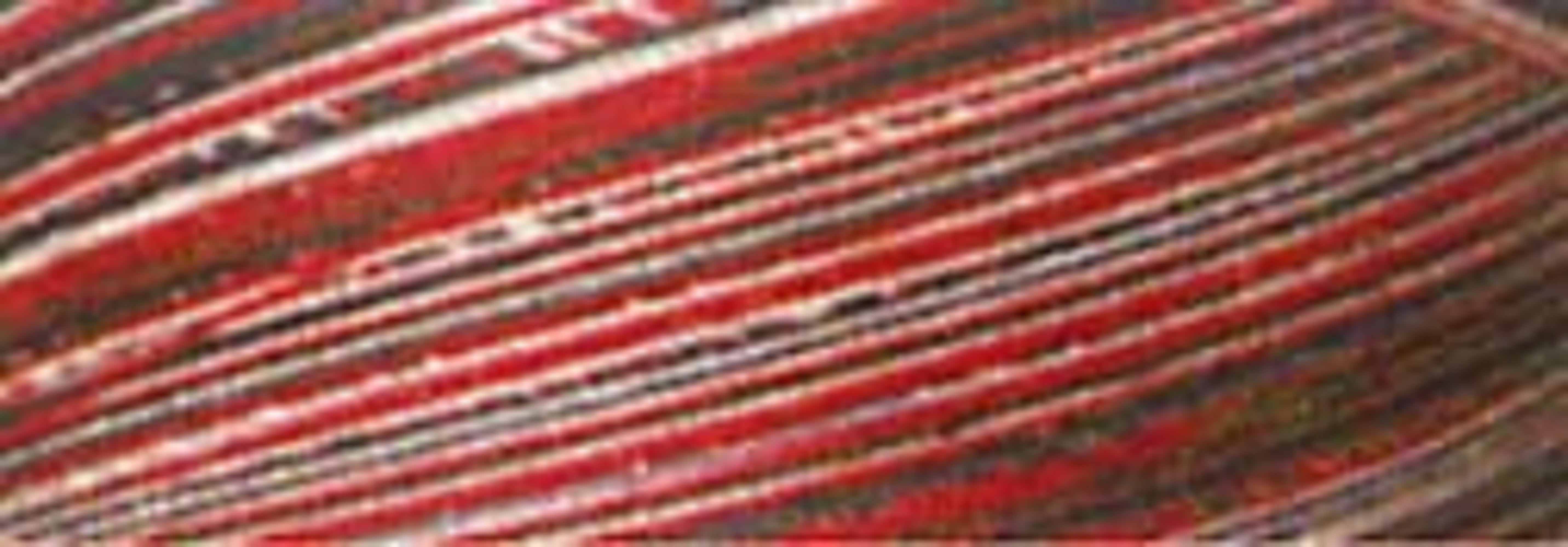 Signature Variegated Quilting Thread, 3000yds - Walmart.com