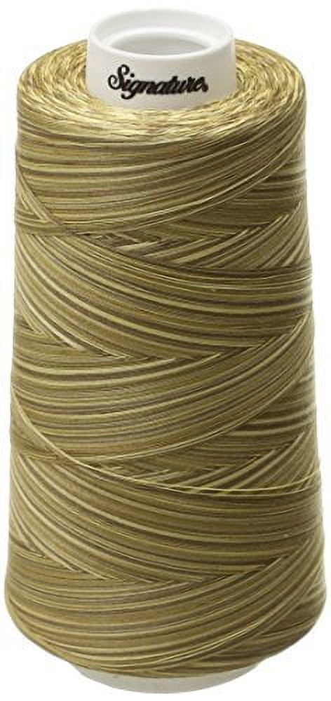 Signature Variegated Quilting Thread, 3000yds - Walmart.com